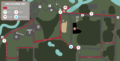 Lumberjack Run – American Birkebeiner