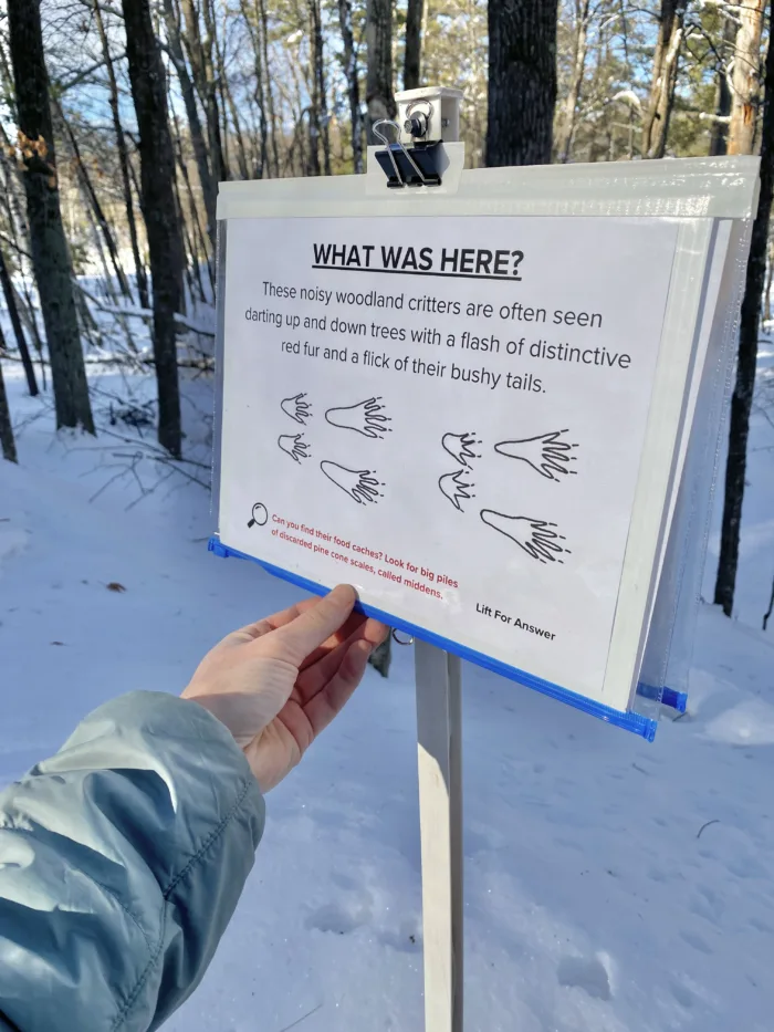 Birkie Wild Nature Programs – American Birkebeiner