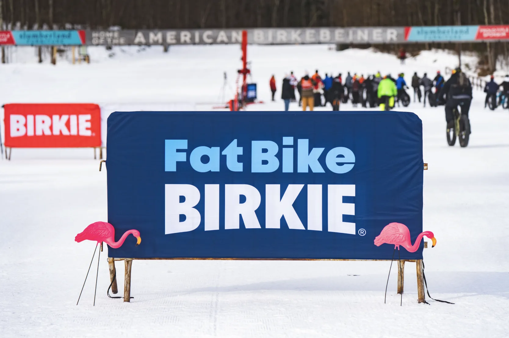 Fat Bike Birkie 2026 Race-Day Dispatch – American Birkebeiner